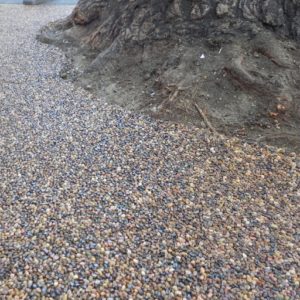 Tree Surrounds - StoneSet